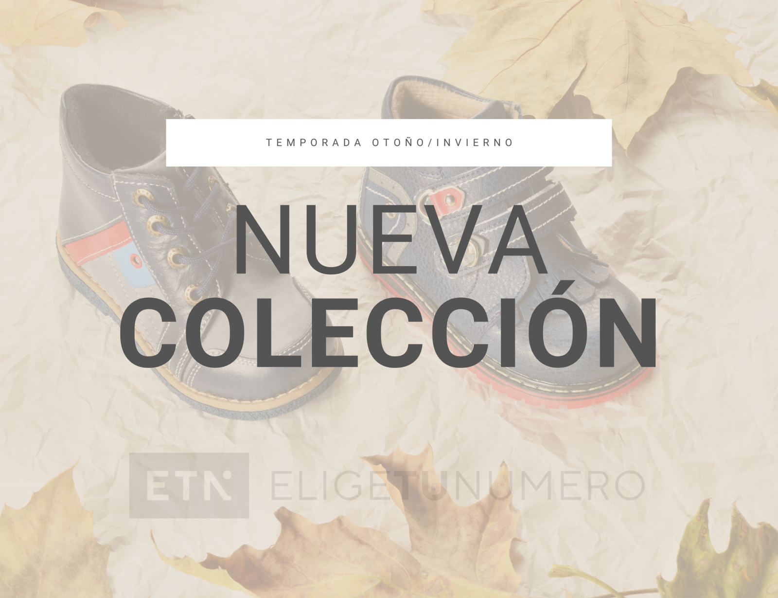 Tienda | ETN Color: Azul petróleo, Celeste, Crema, Verde, Verde Petrólio